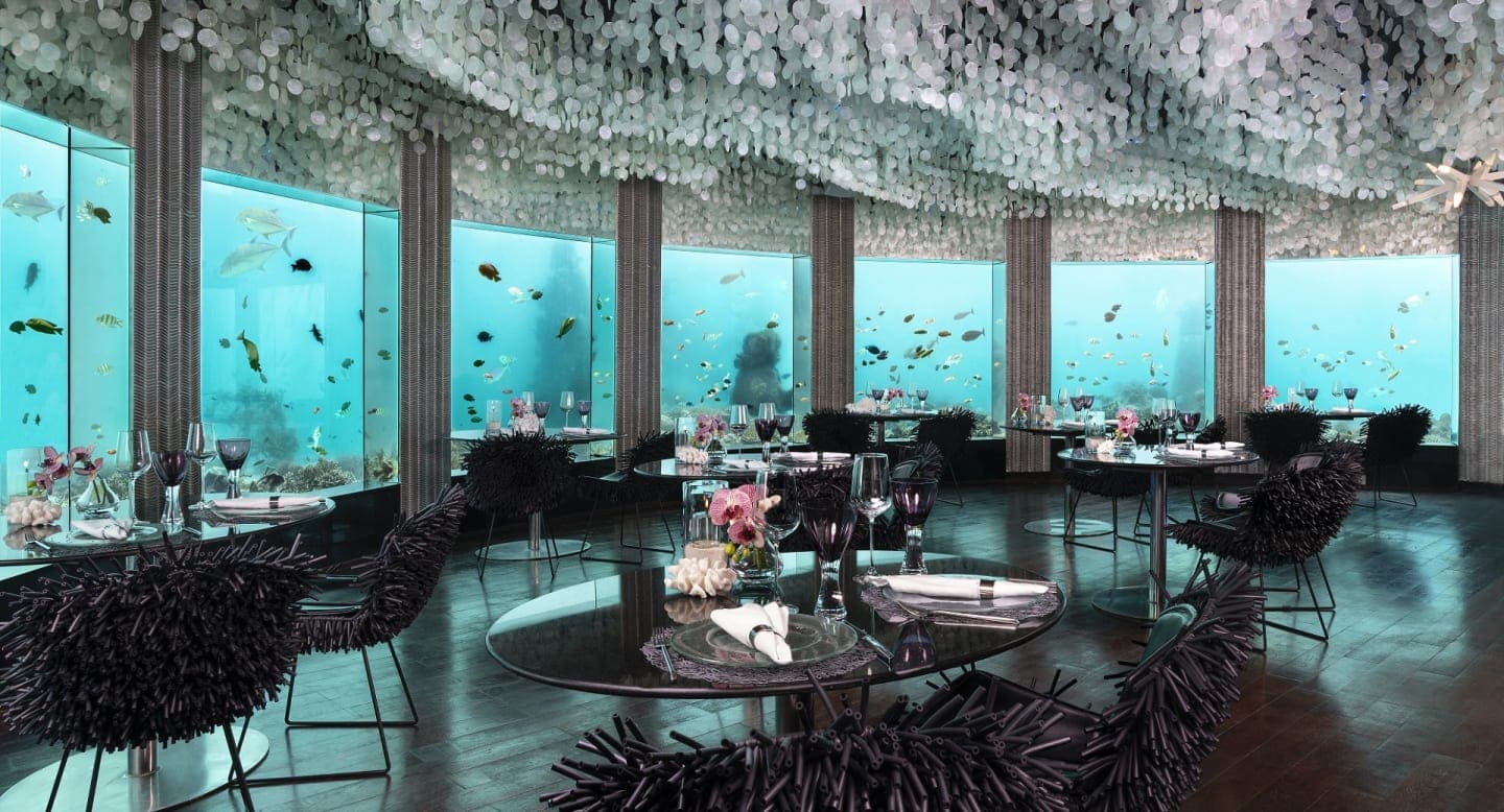 7 Amazing Underwater Restaurants in Maldives