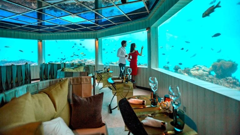 7 Amazing Dining Experience in Maldives Underwater Restaurants
